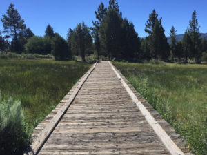Conquering the Hiking Trails Near Big Bear Lake, California - Those ...