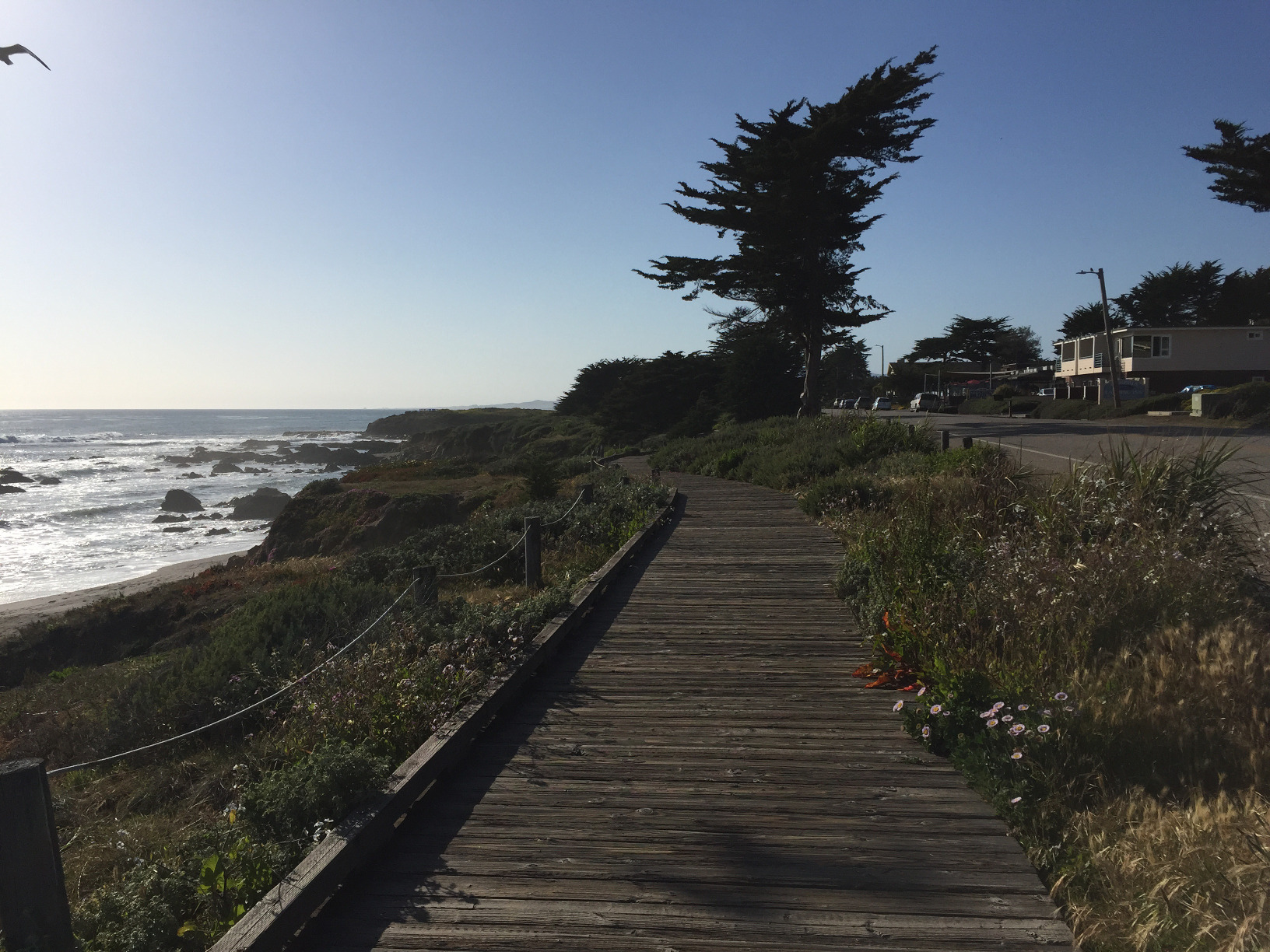 Visiting Cambria Beach Lodge on Moonstone Beach in Cambria, California ...