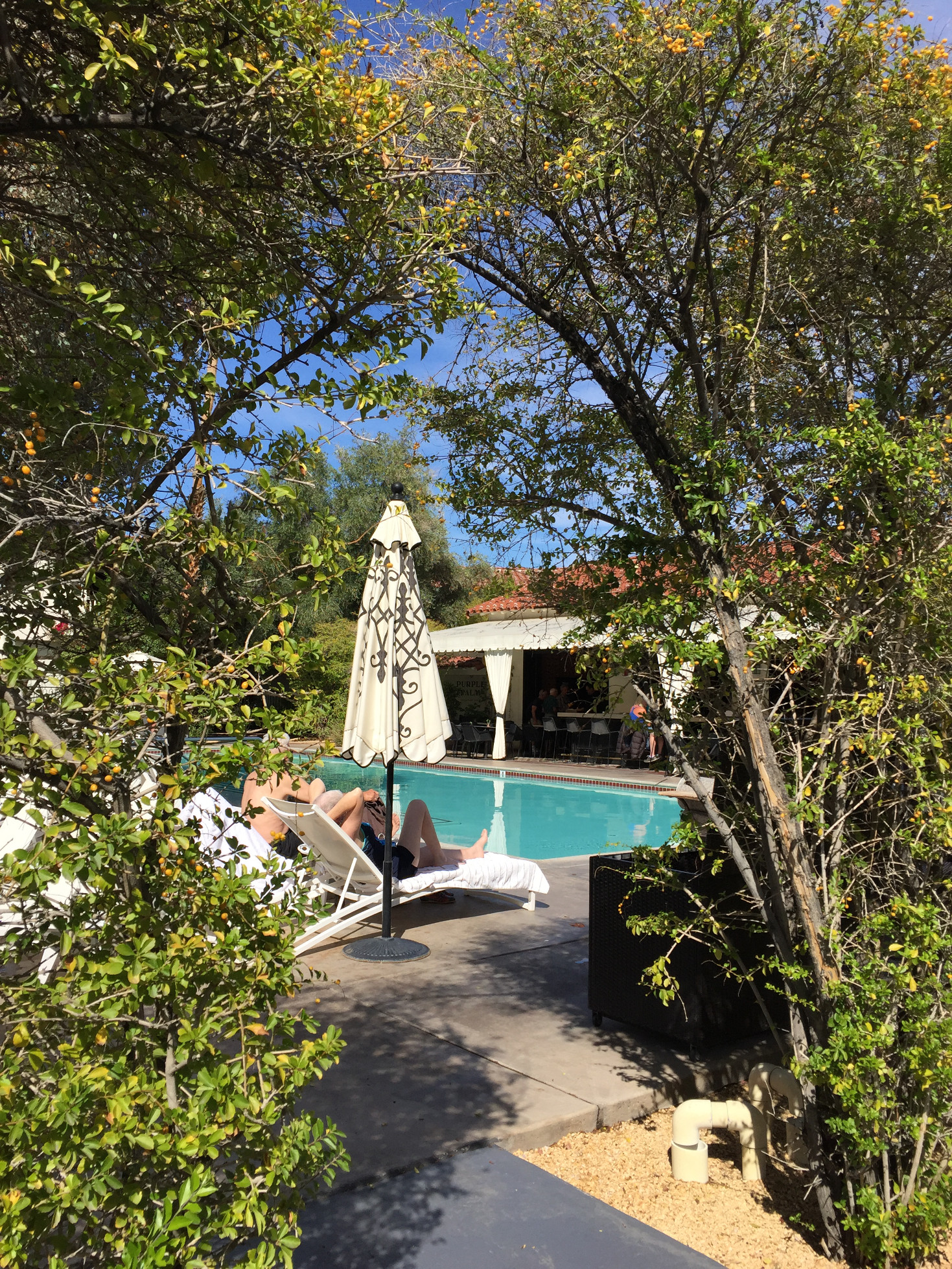 Ready for a Palms Springs, CA Weekend? - Those Someday Goals