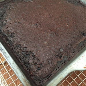 Chocolate Walnut Dessert Recipe - Those Someday Goals