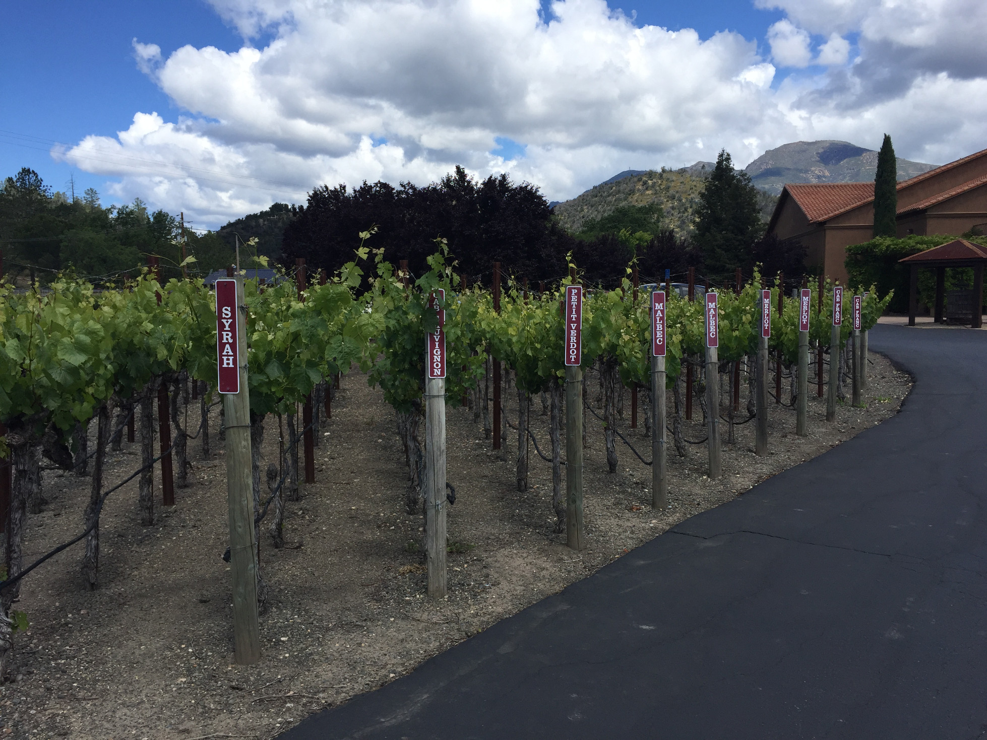 Napa Valley Wine Tasting #2: Bennett Lane - Those Someday Goals