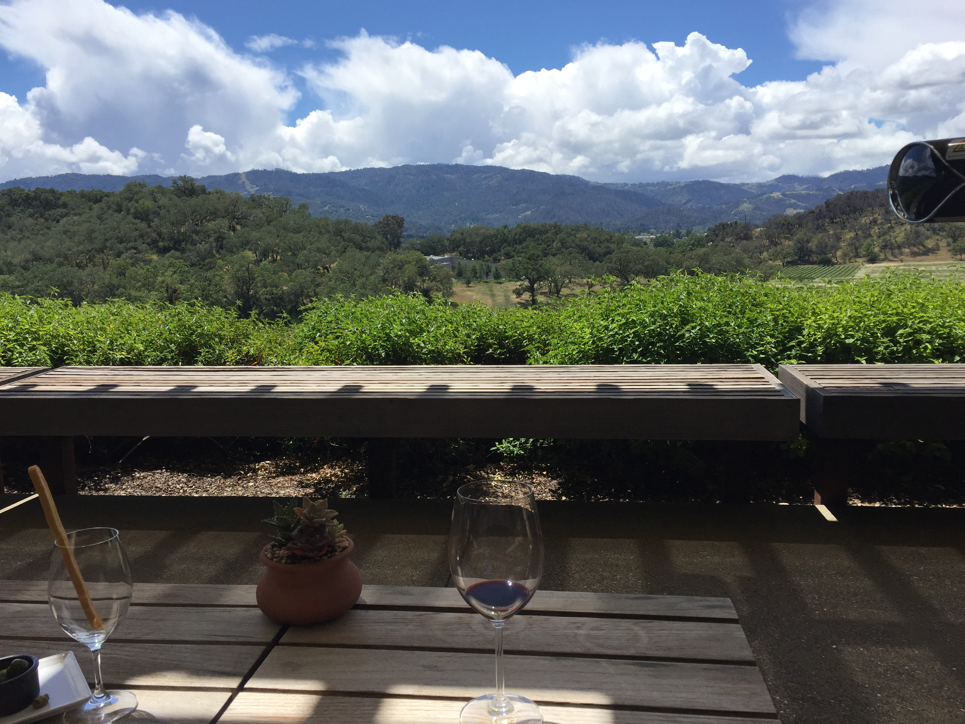Napa Valley Wine Tasting #3: Joseph Phelps - Those Someday Goals