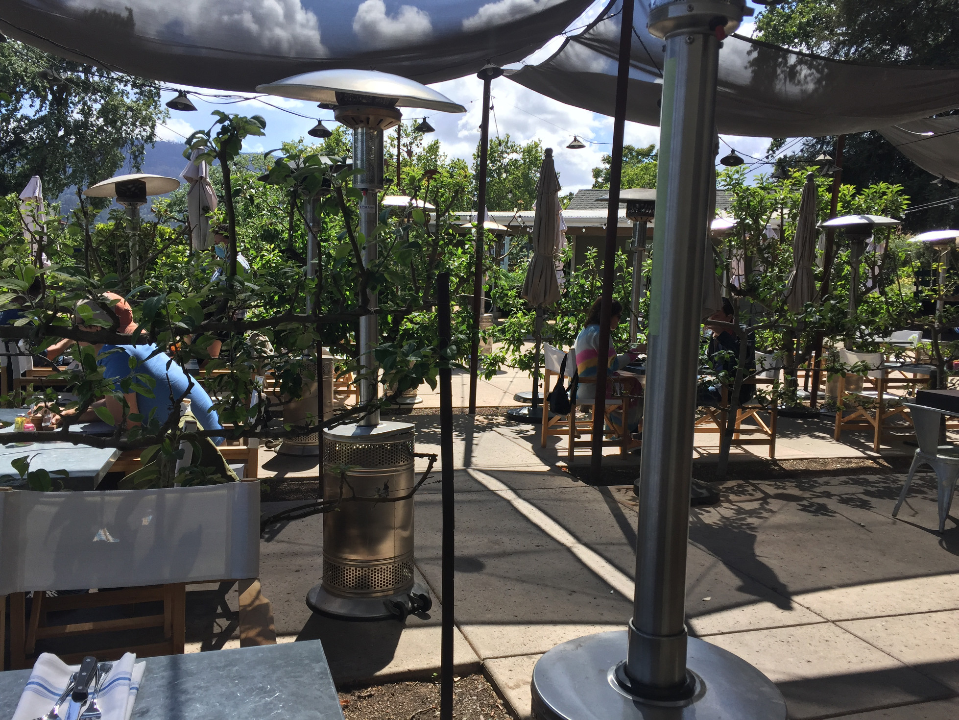 Sampling Napa's Farmstead Restaurant - Those Someday Goals